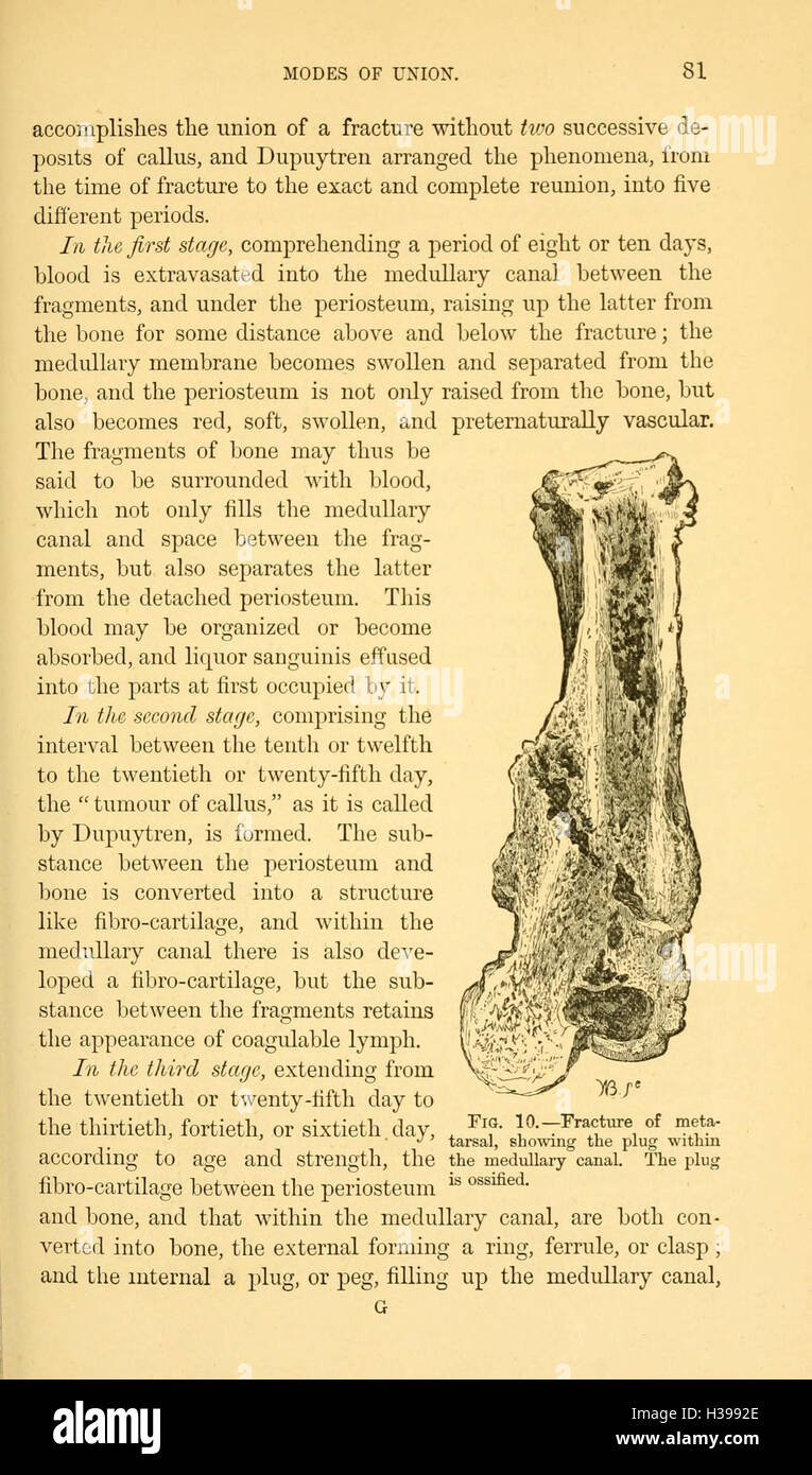 This book provides a comprehensive overview of veterinary surgical ...