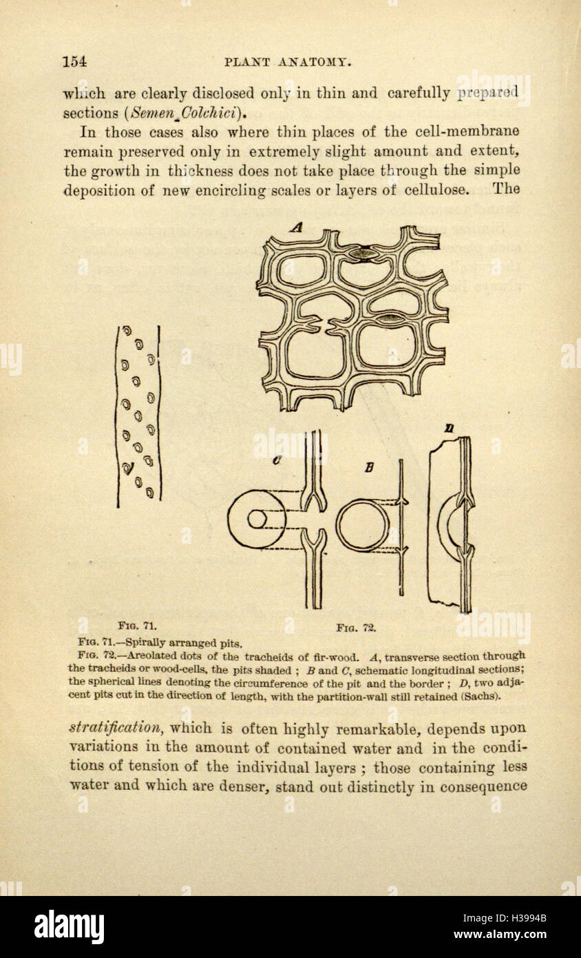 The principles of pharmacognosy (Page 154) BHL39 Stock Photo - Alamy