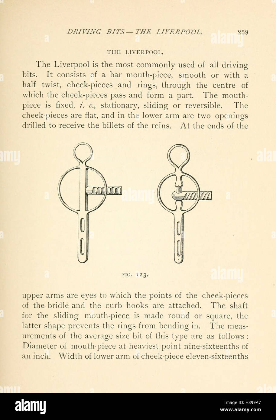 A guide to managing a private horse stable, with focus on maintenance ...