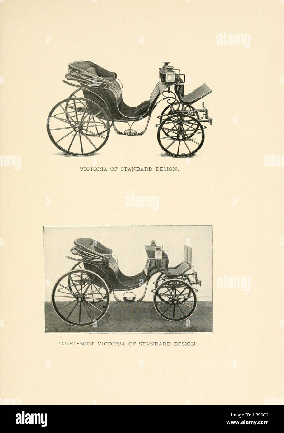 A guide to managing a private stable, focusing on horse care, stable ...