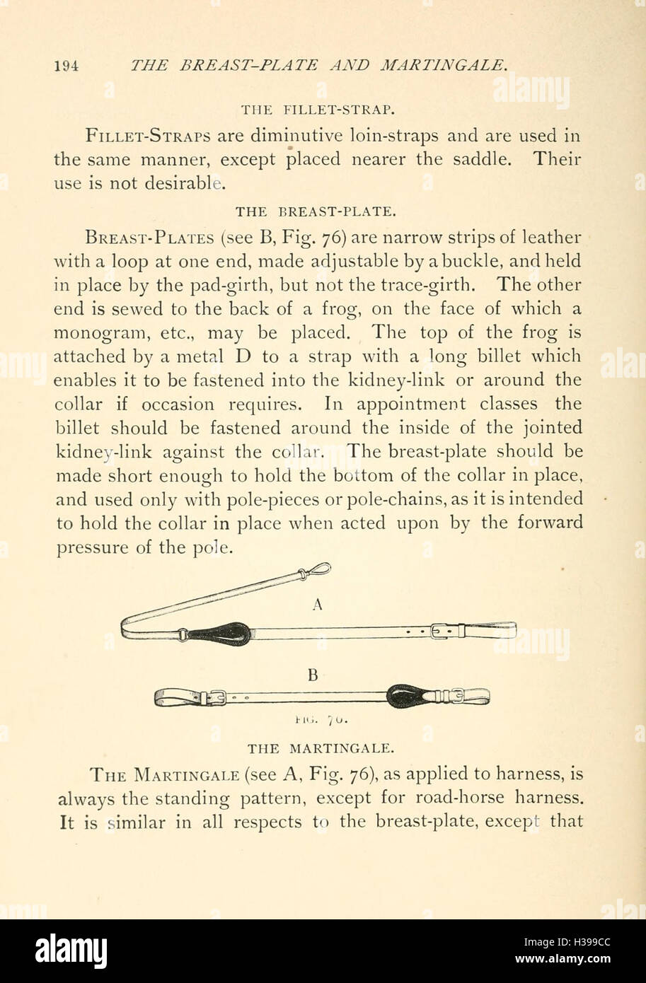 'The Private Stable' explores the management and organization of a ...