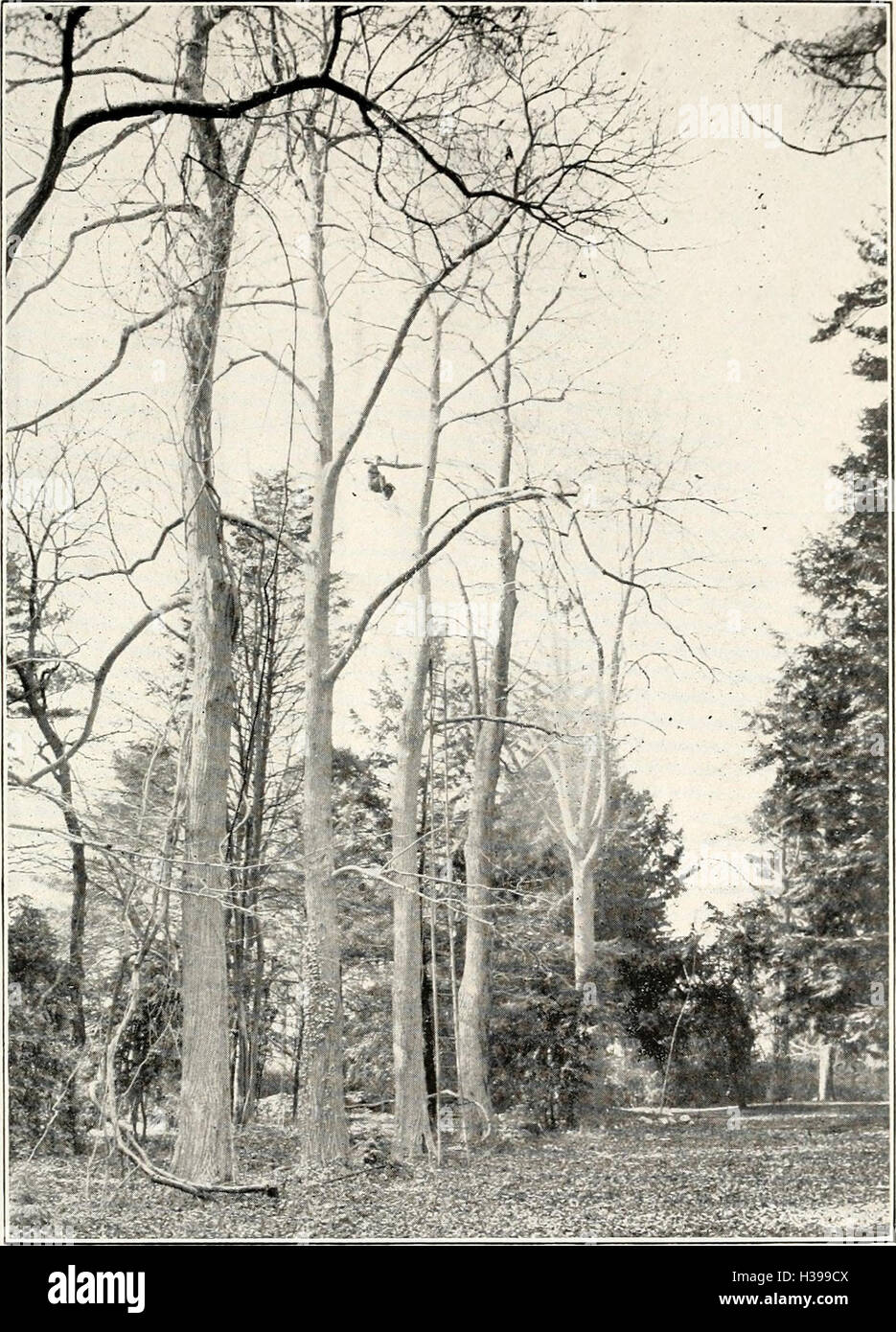 1913 pennsylvania map hi-res stock photography and images - Alamy