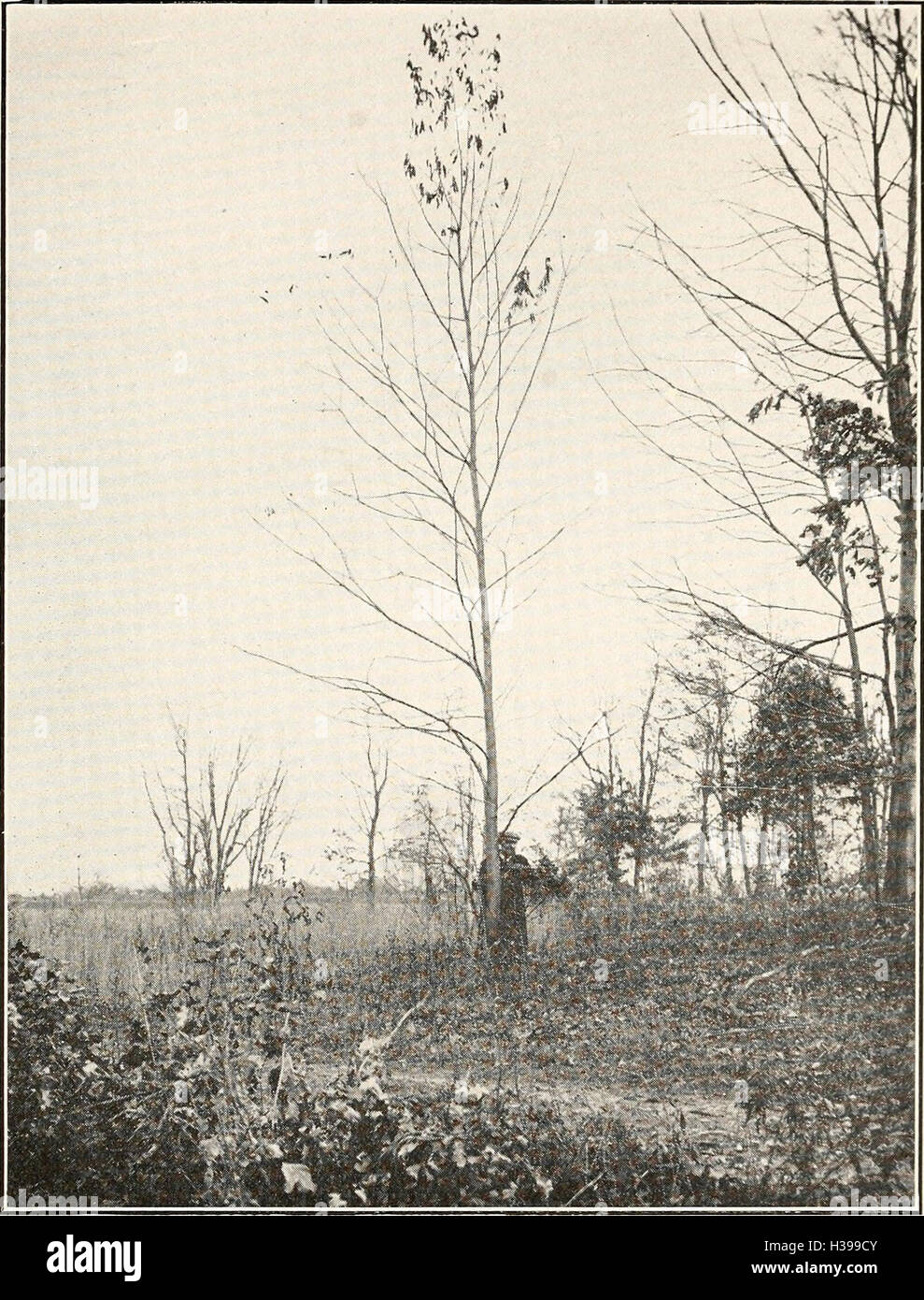 1913 pennsylvania map hi-res stock photography and images - Alamy