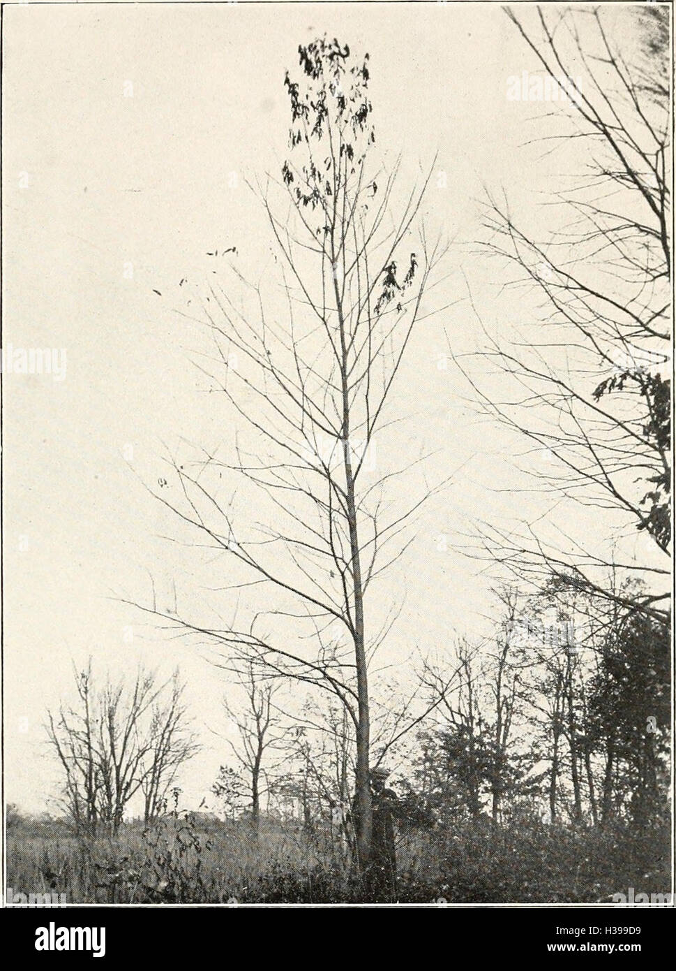 1913 pennsylvania map hi-res stock photography and images - Alamy