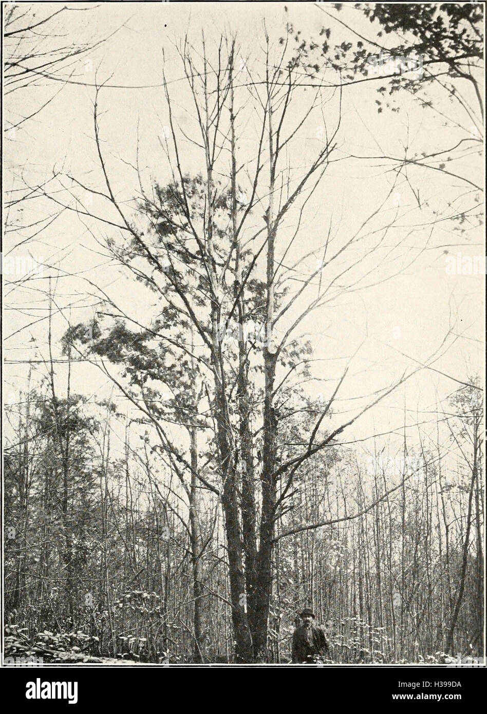 1913 pennsylvania map hi-res stock photography and images - Alamy