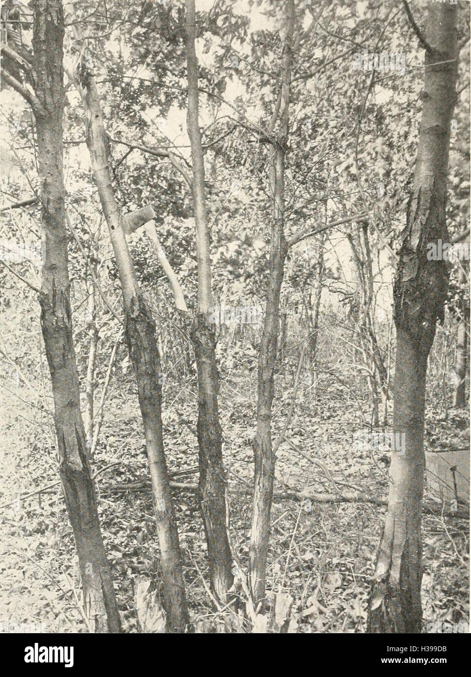 1913 pennsylvania map hi-res stock photography and images - Alamy