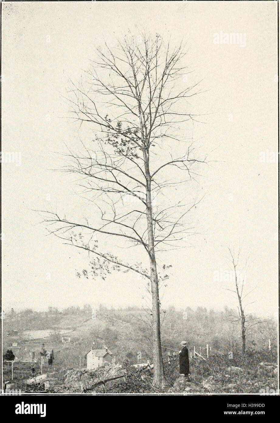 1913 pennsylvania map hi-res stock photography and images - Alamy