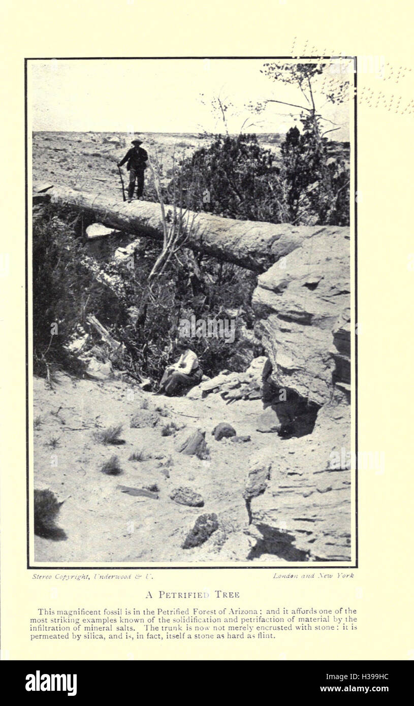This work explores the history and development of modern geology ...