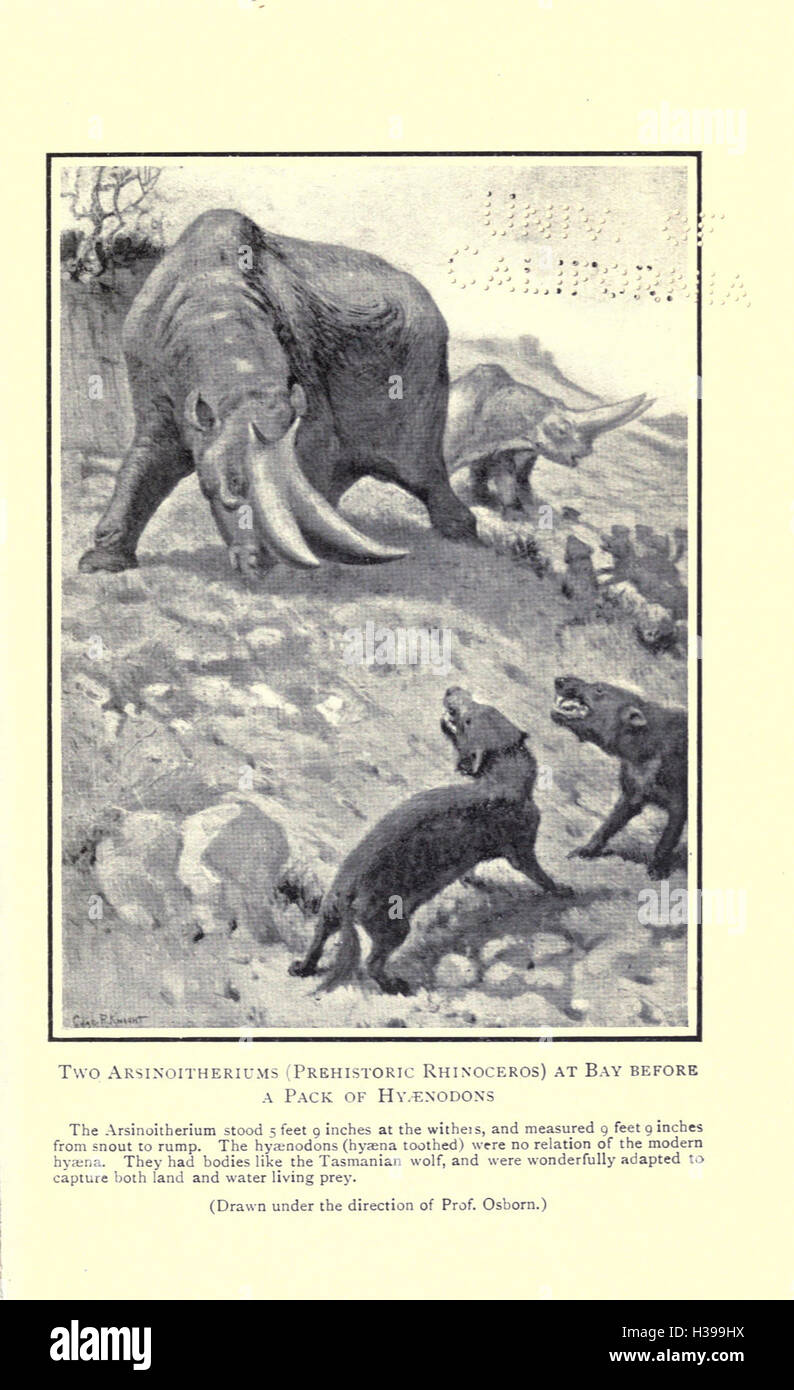 This work introduces the key concepts and discoveries in modern geology ...
