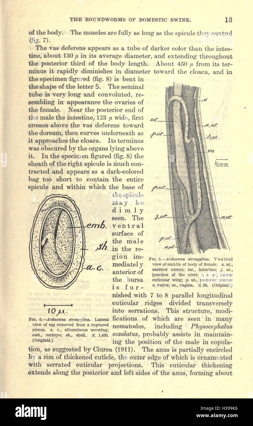 This study focuses on the biology, life cycle, and management of ...