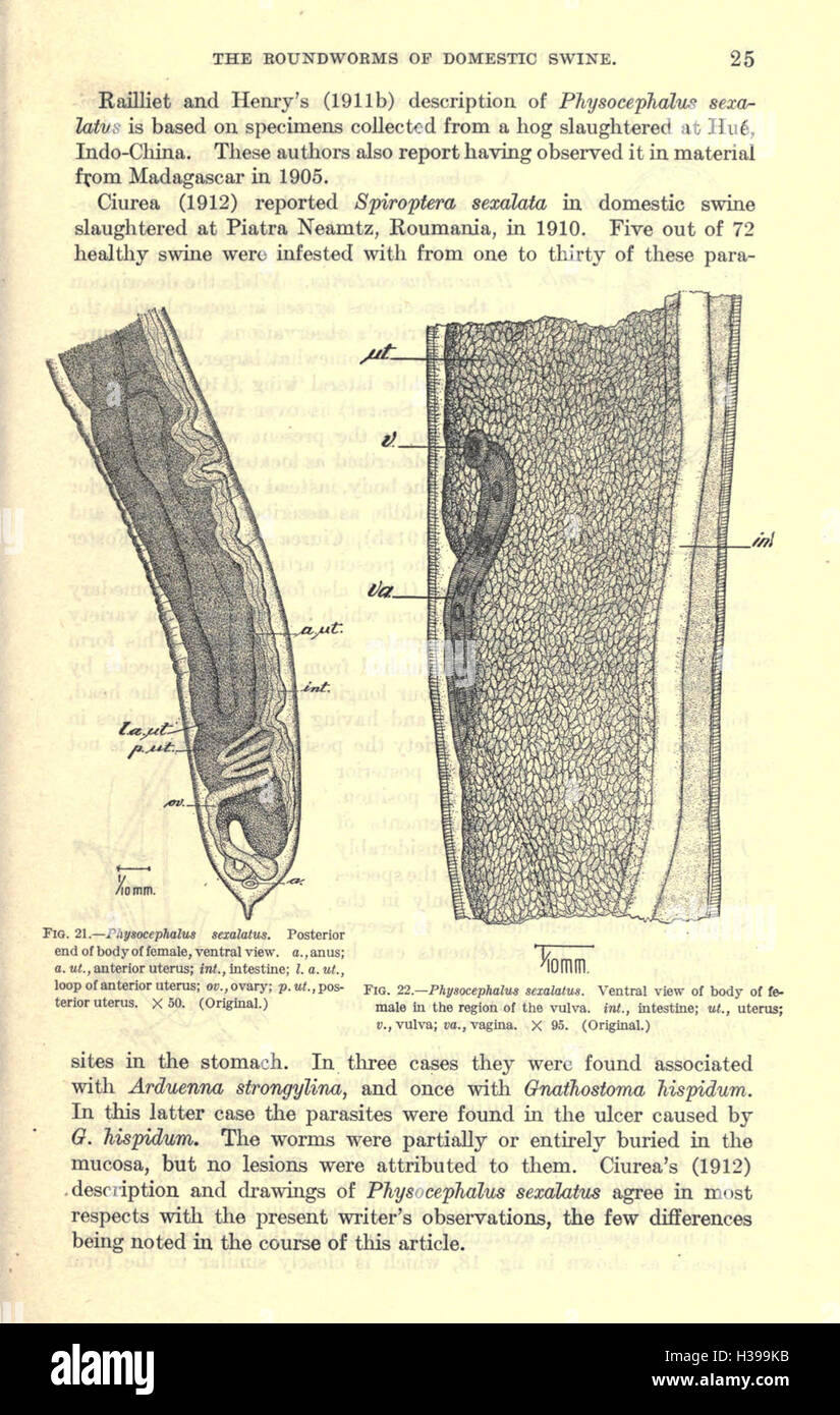 This text provides a study of roundworms affecting domestic swine ...