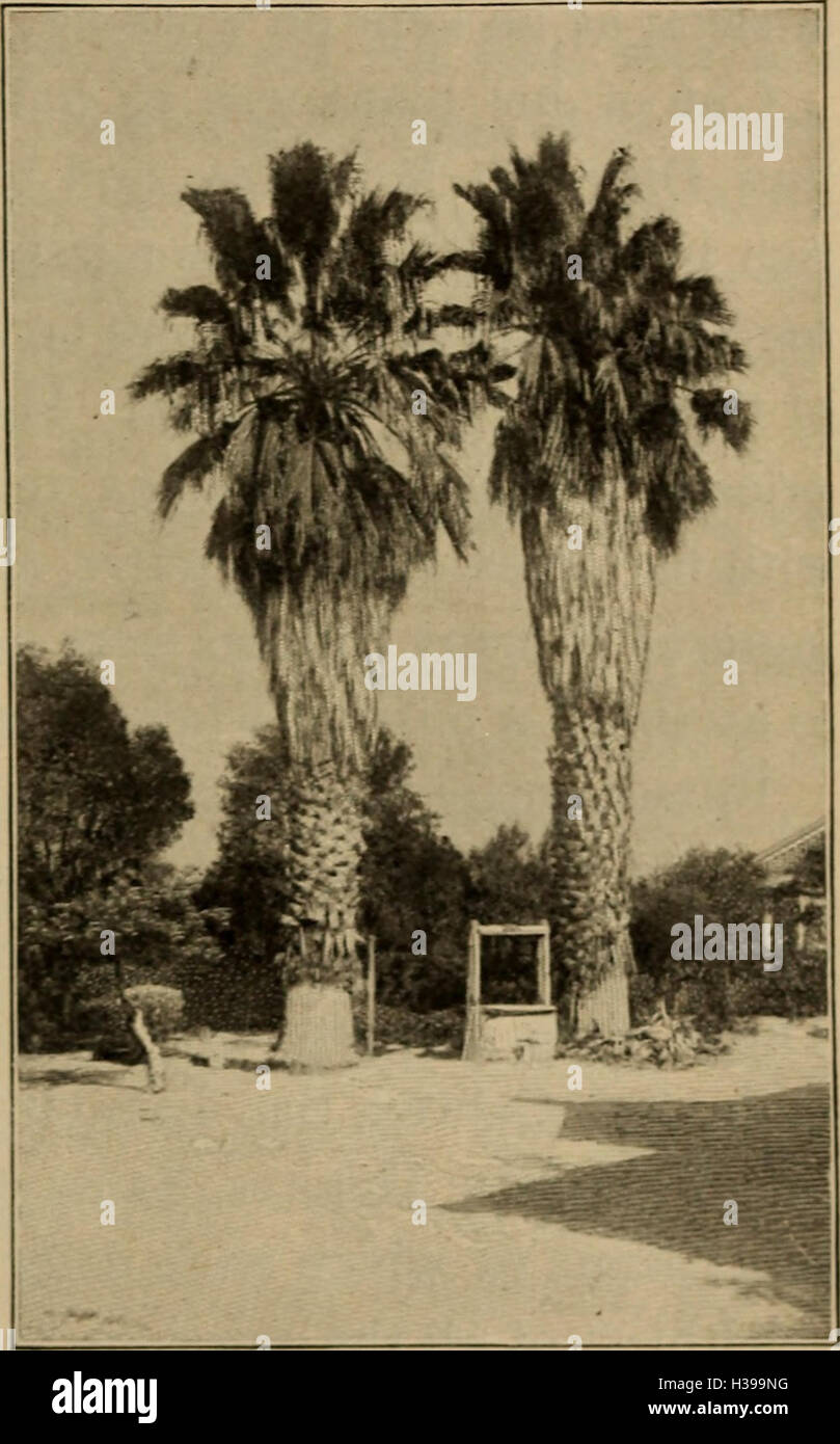 This historical text examines the Spanish influence in the American ...