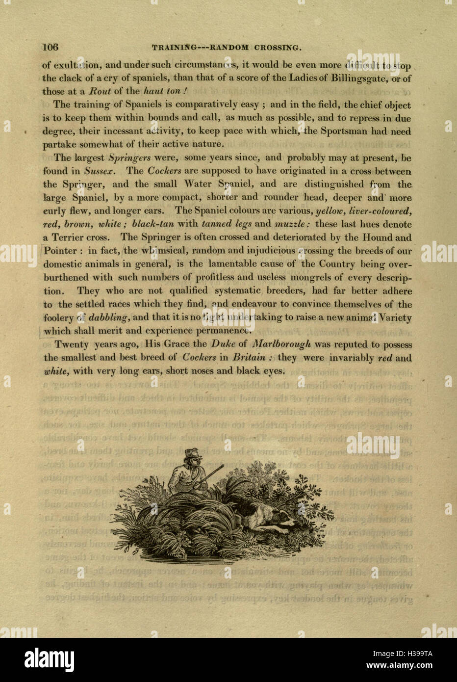 This collection provides detailed information on various sports, with a ...