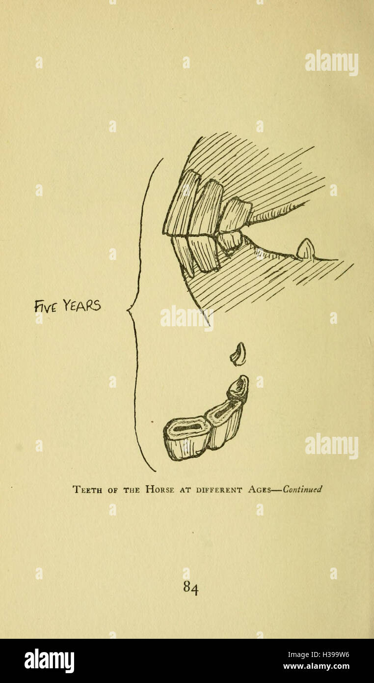 This handbook offers detailed instructions for building and maintaining ...