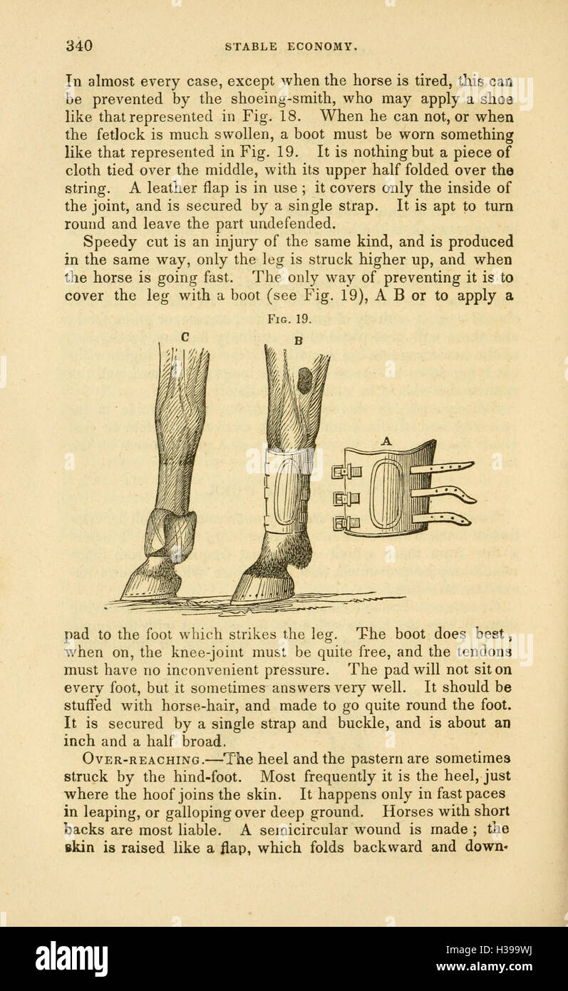 340 pages hi-res stock photography and images - Alamy