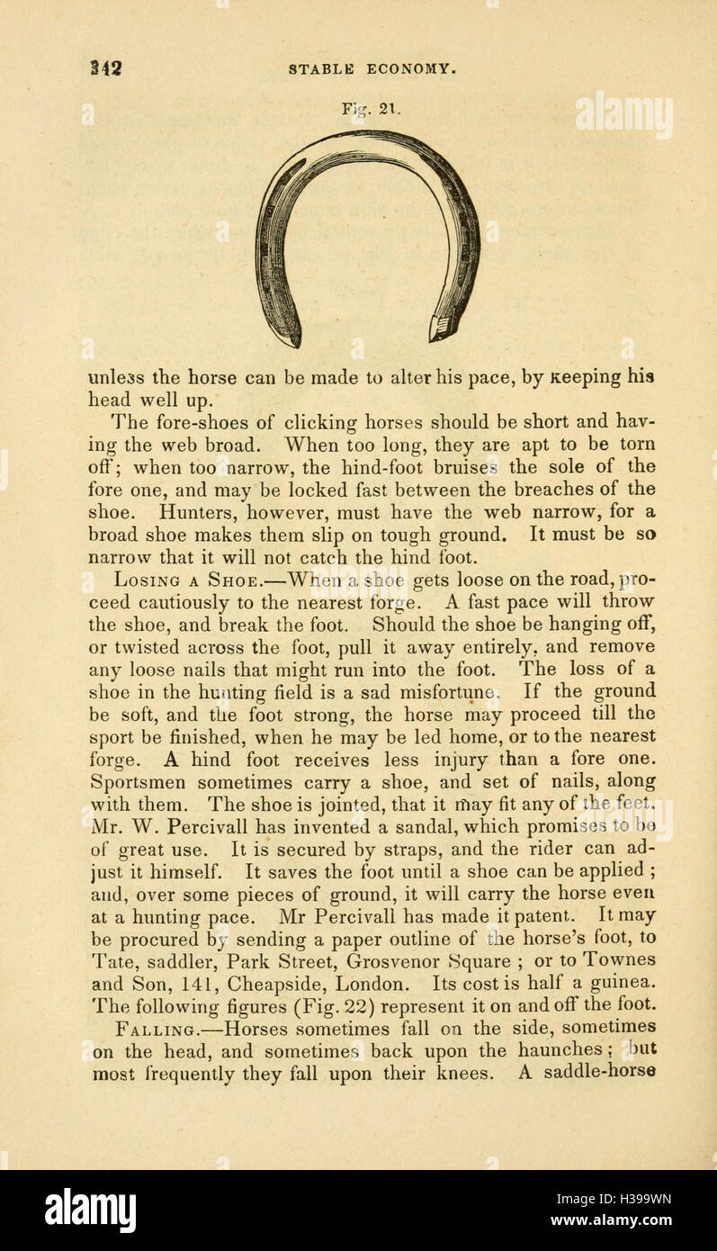 This page offers a practical guide to maintaining a stable, covering ...