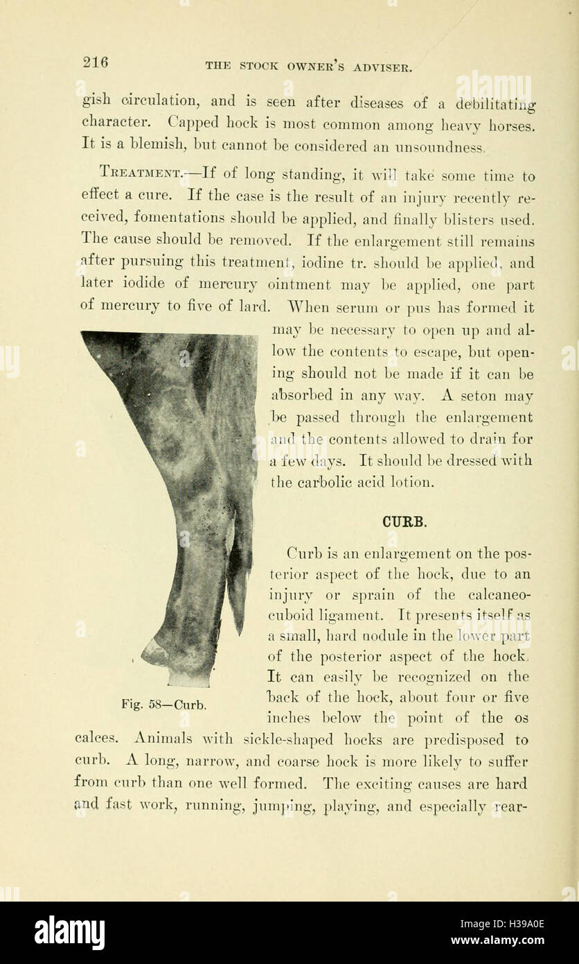 This guide offers advice on managing livestock, with a focus on animal ...