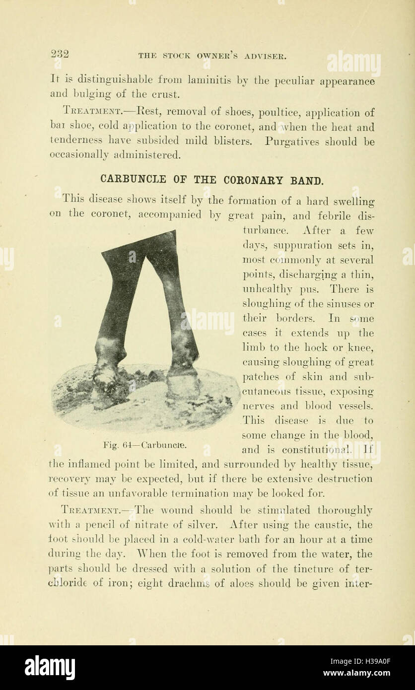 A guidebook for stock owners, offering advice on managing livestock ...