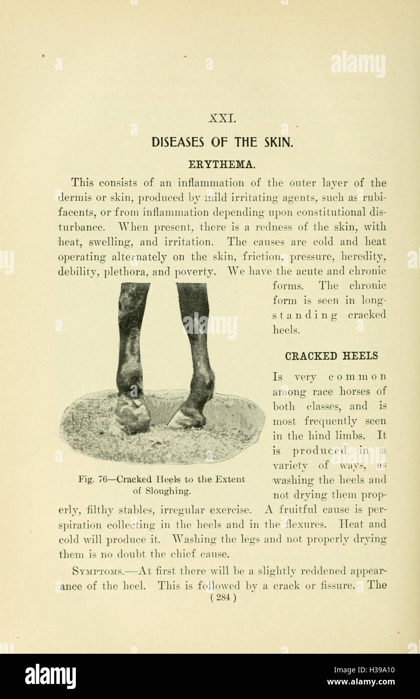 This advisory guide provides practical advice for stock owners ...