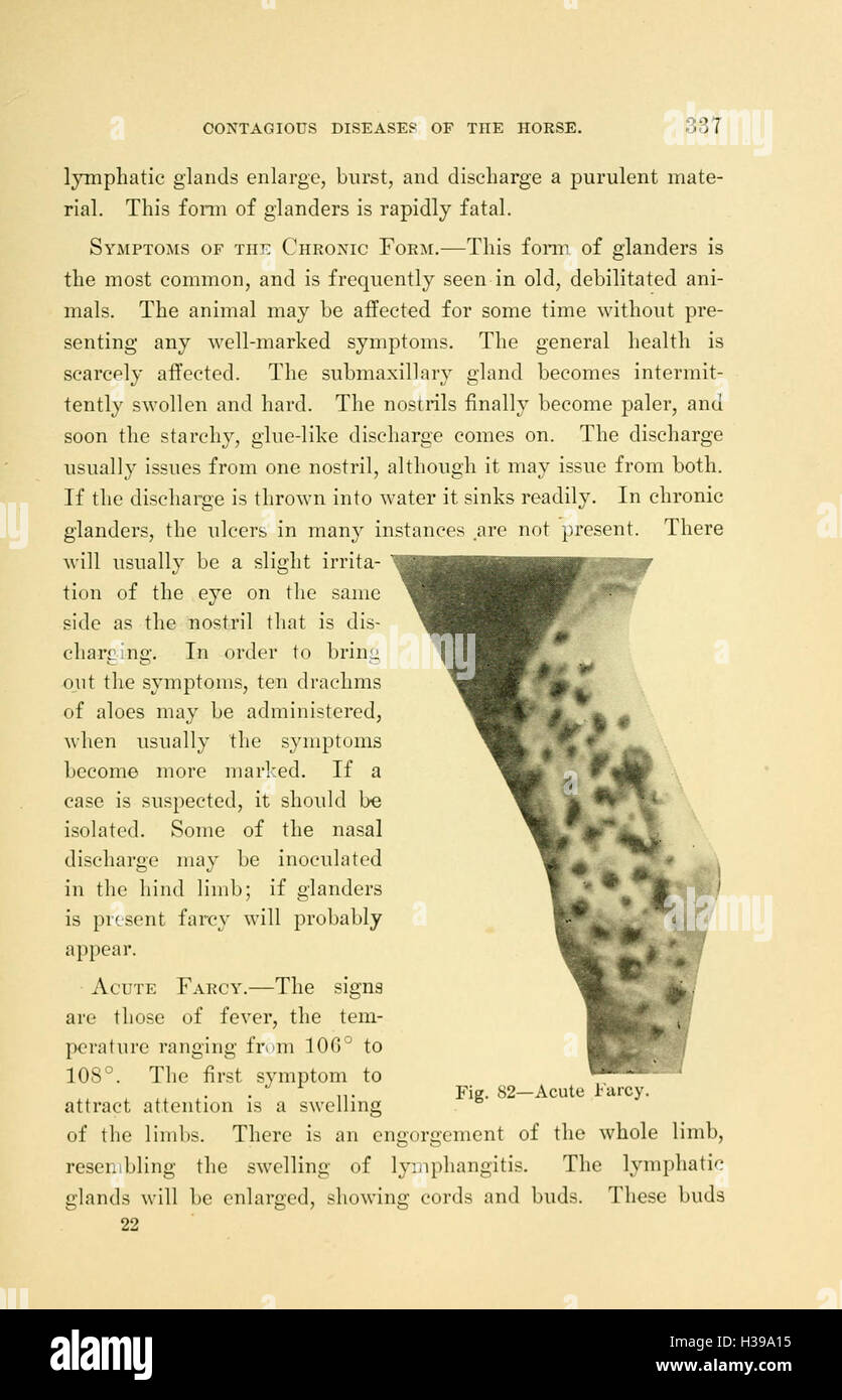 This guide provides practical advice for stock owners, focusing on ...