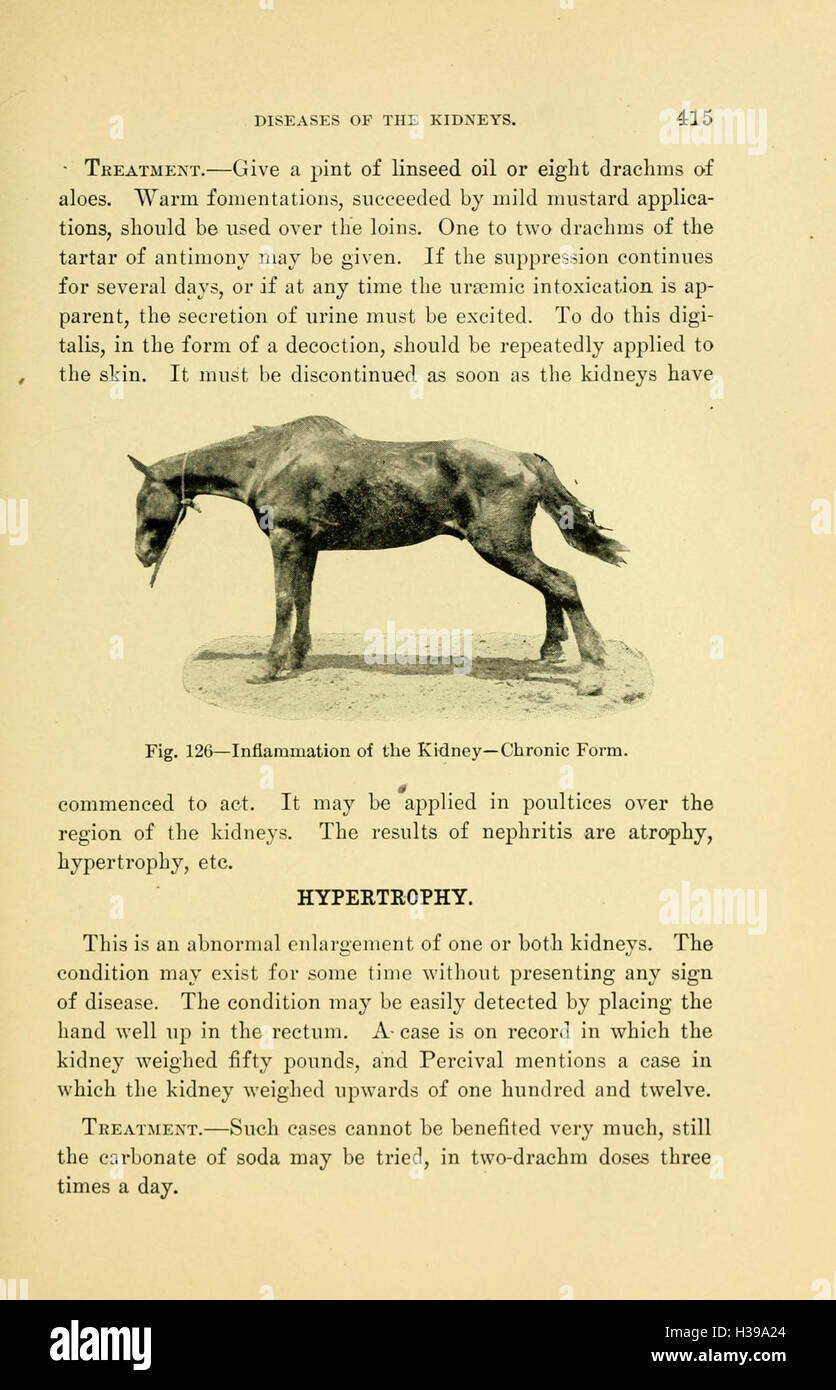 This guide provides practical advice for stock owners, covering topics ...