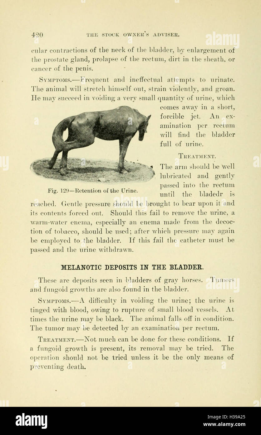 This guide provides advice to stock owners on managing livestock ...