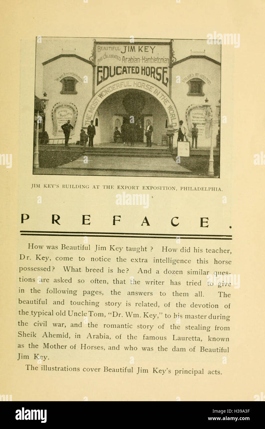 Jim key horse hi-res stock photography and images - Alamy