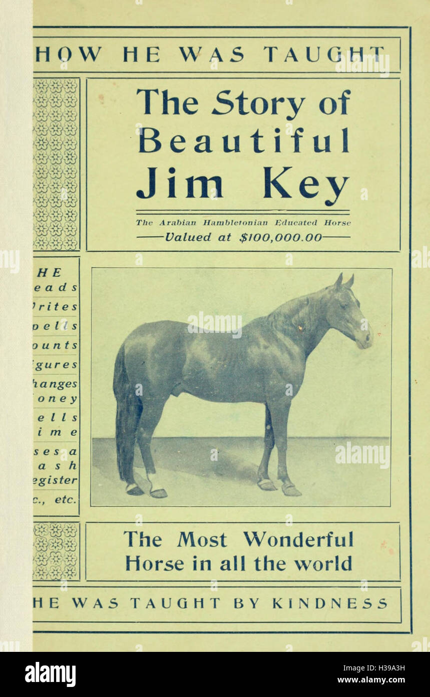 'The Story of Beautiful Jim Key' tells the biography of a famous horse ...