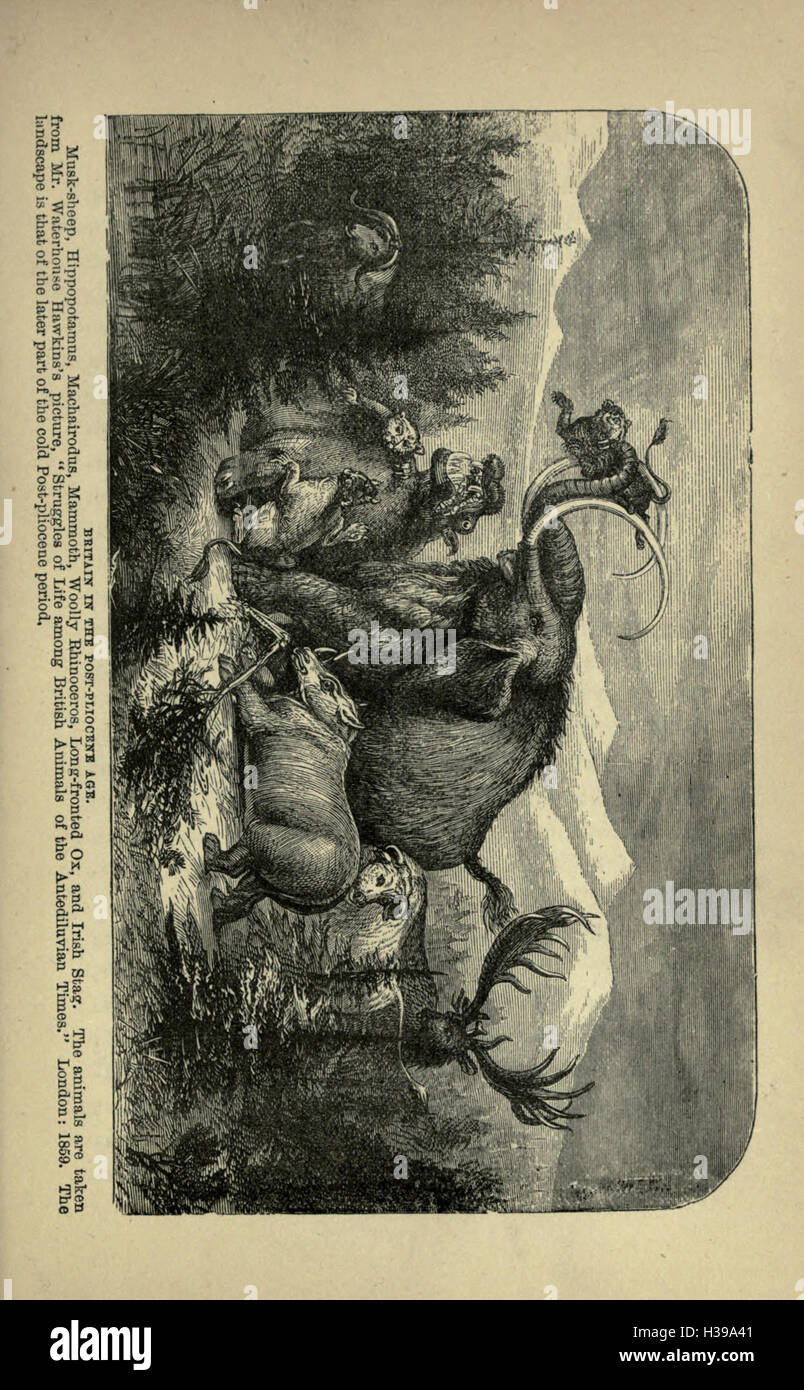 This book explores the relationship between Earth’s geological history ...