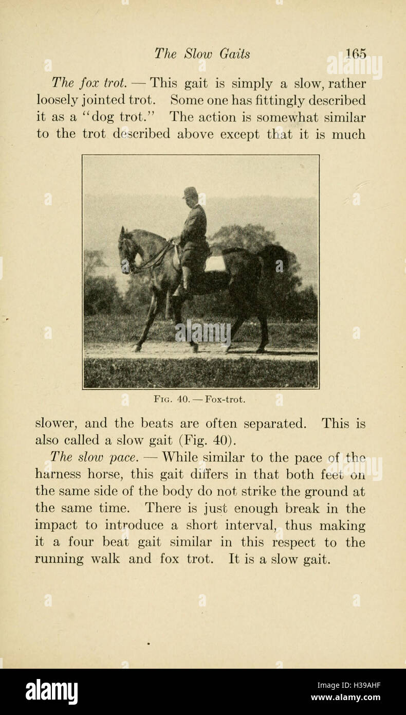 This guide offers detailed techniques for training and breaking horses ...