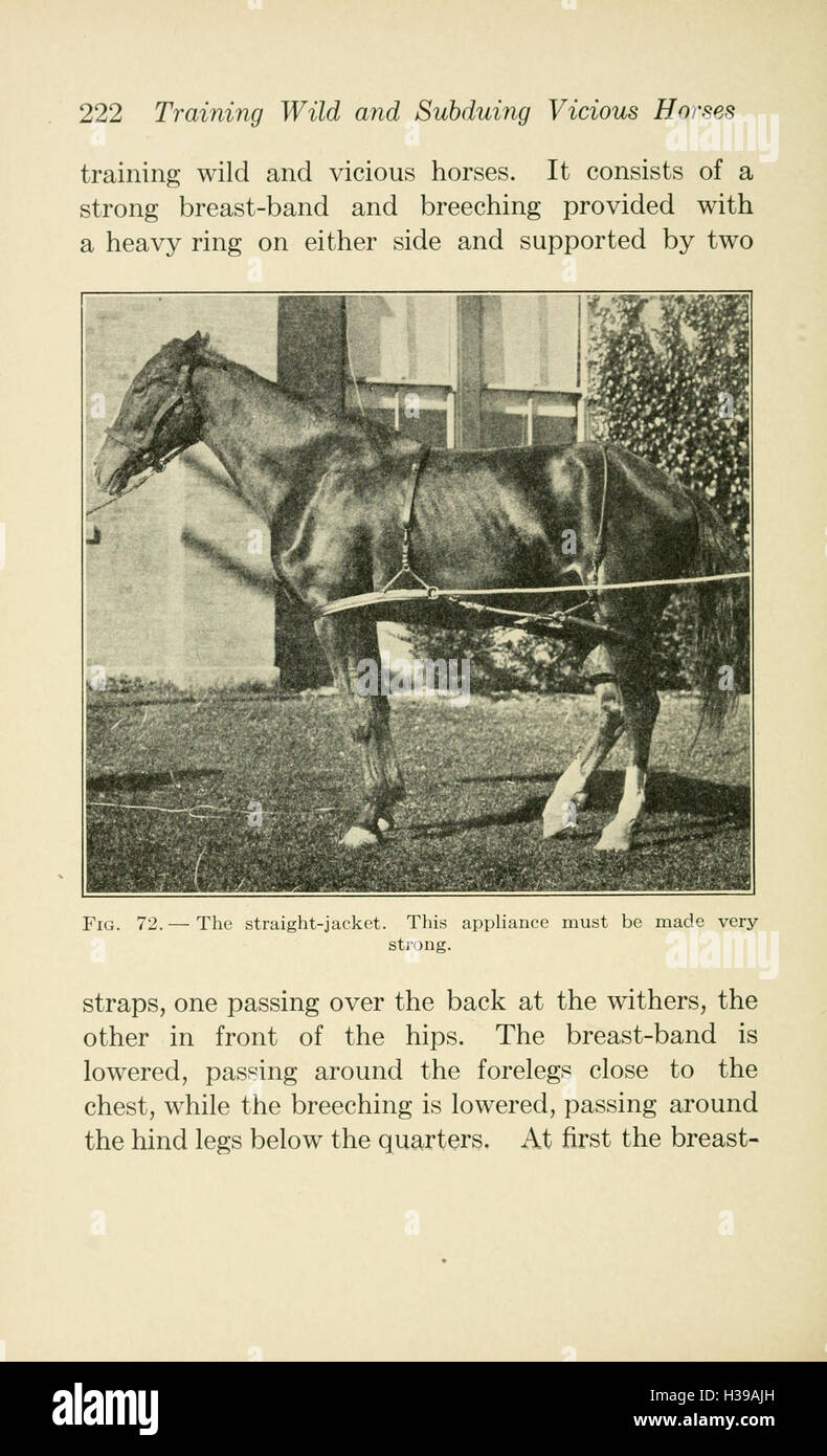 This guide covers the principles of training and breaking horses, providing techniques for ...