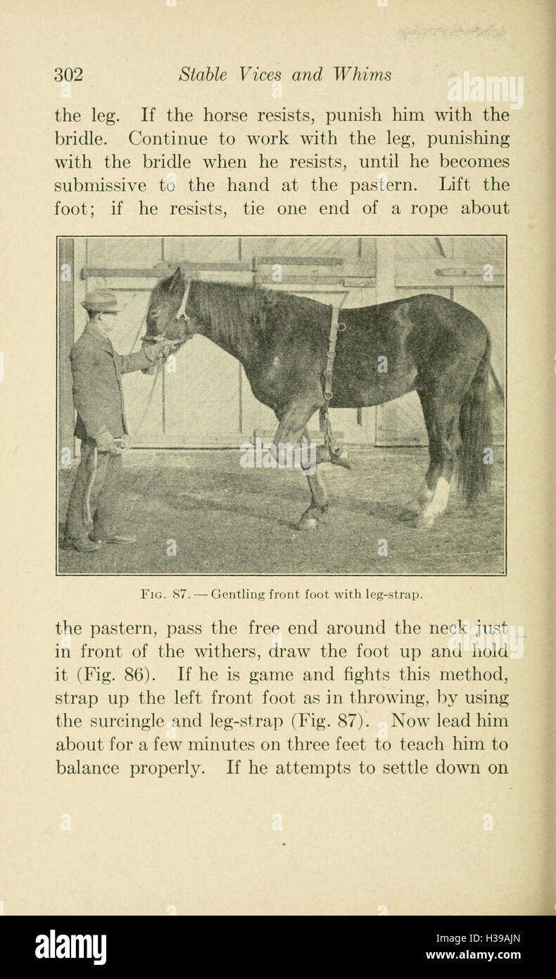 A guide to training horses, focusing on methods for breaking and ...