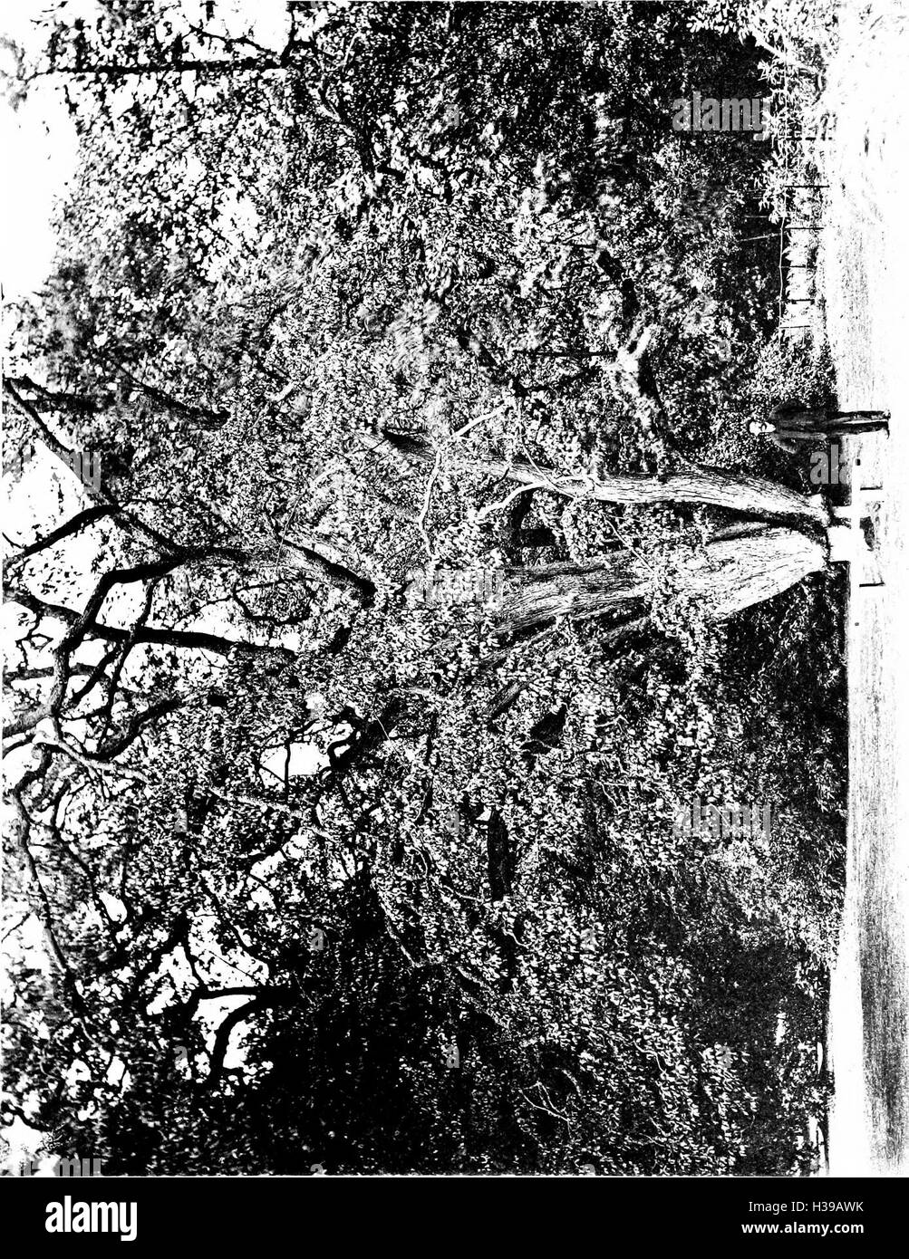 Depth restoration Black and White Stock Photos & Images - Alamy