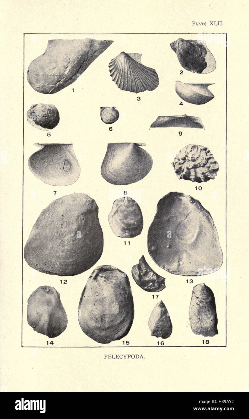 This report presents the findings of Cretaceous-era fossils discovered ...