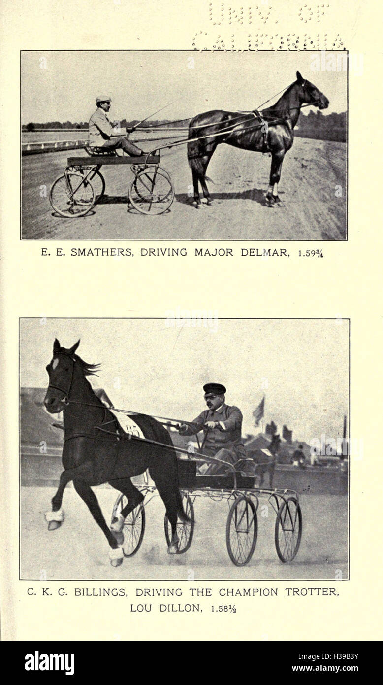 This page explores the history and characteristics of trotting and ...