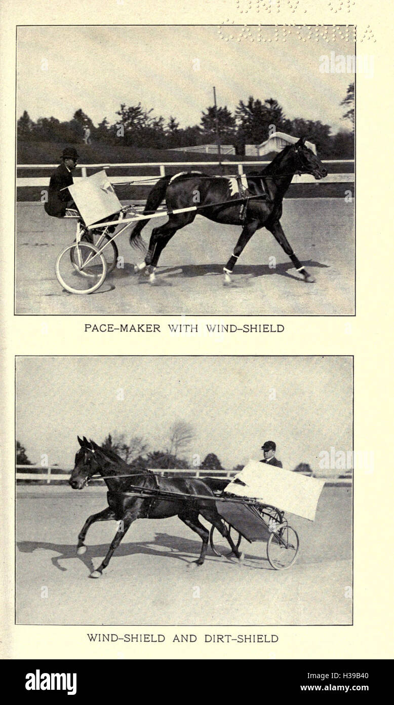 Pacing horse hi-res stock photography and images - Alamy