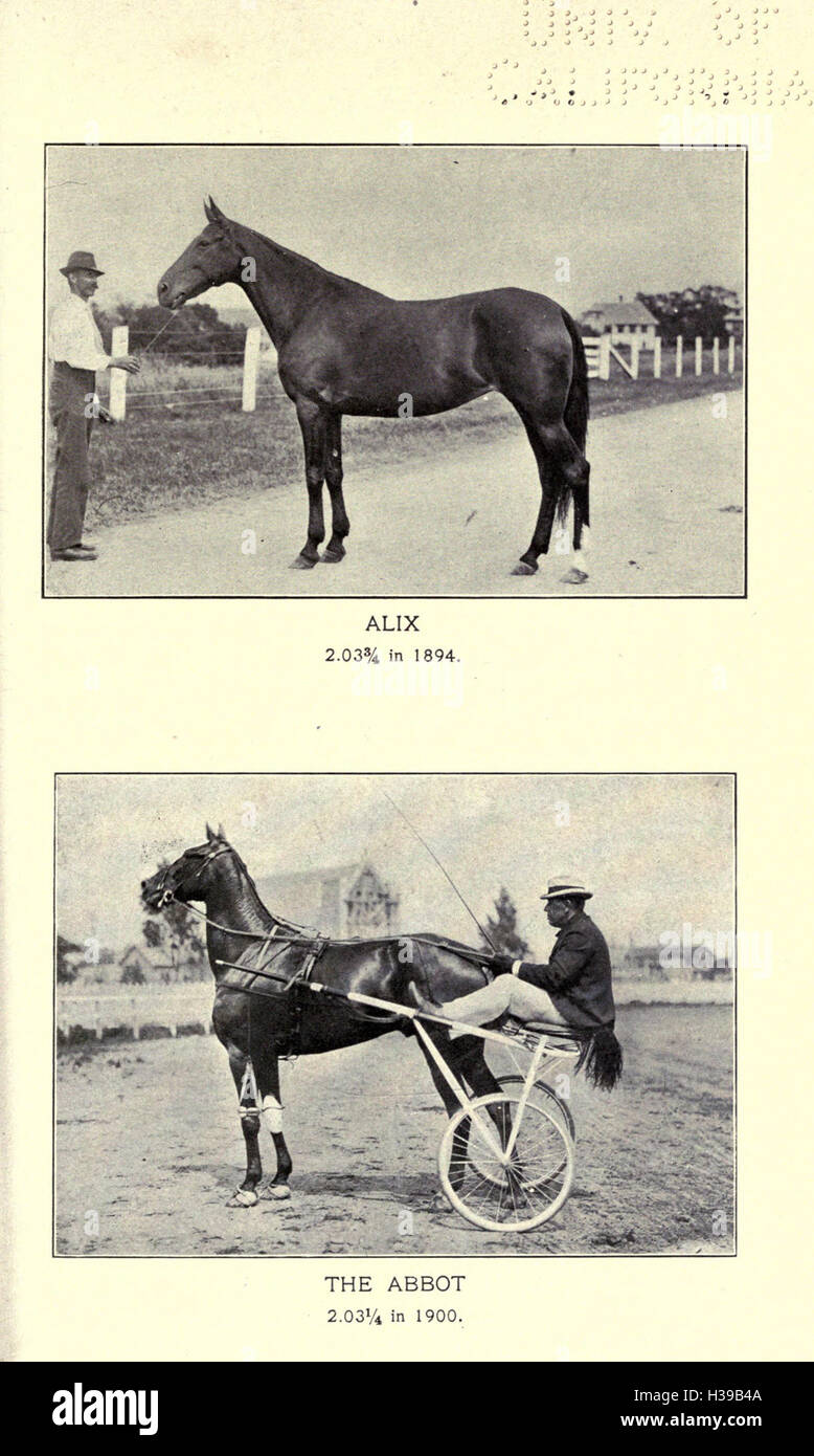 This work examines the distinct gaits of trotting and pacing horses in ...