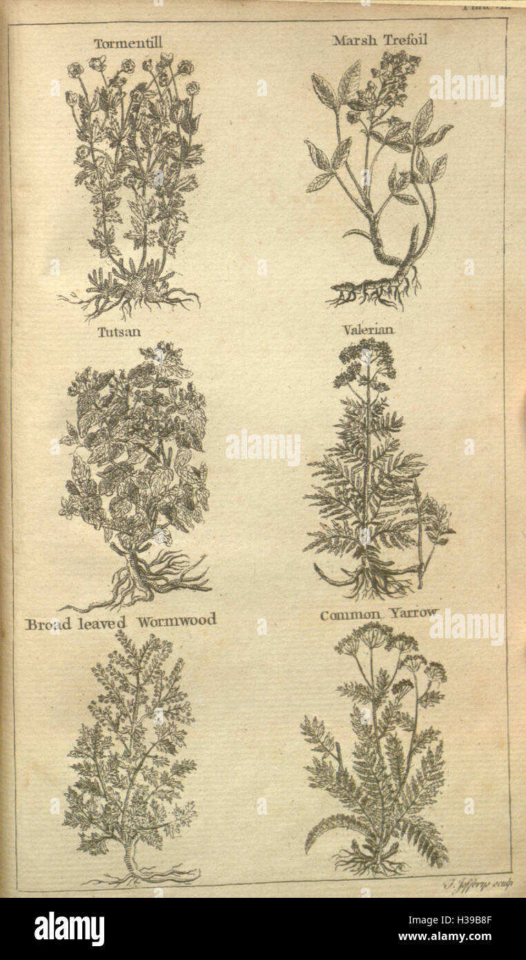 This work features a collection of plants with medicinal properties ...