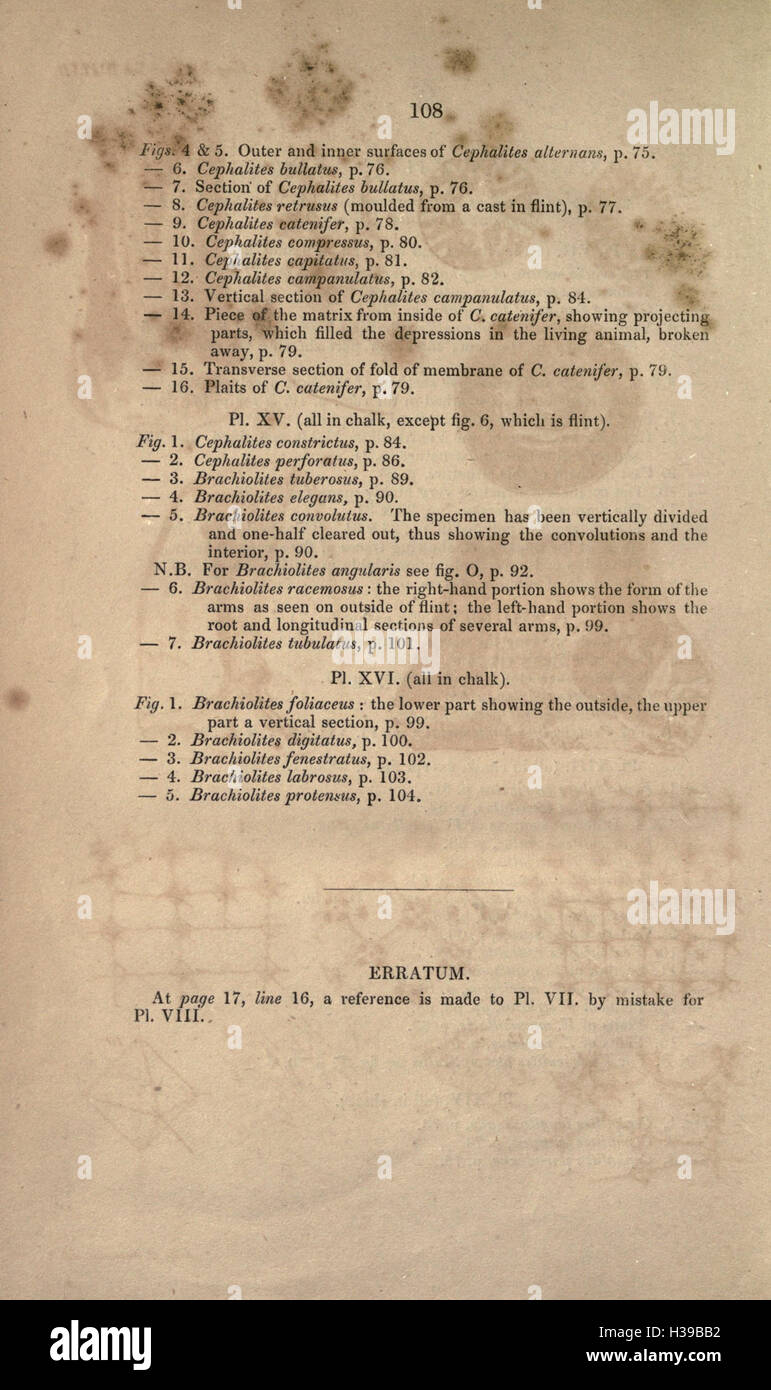 A study of the Ventriculidae family of extinct organisms, focusing on ...