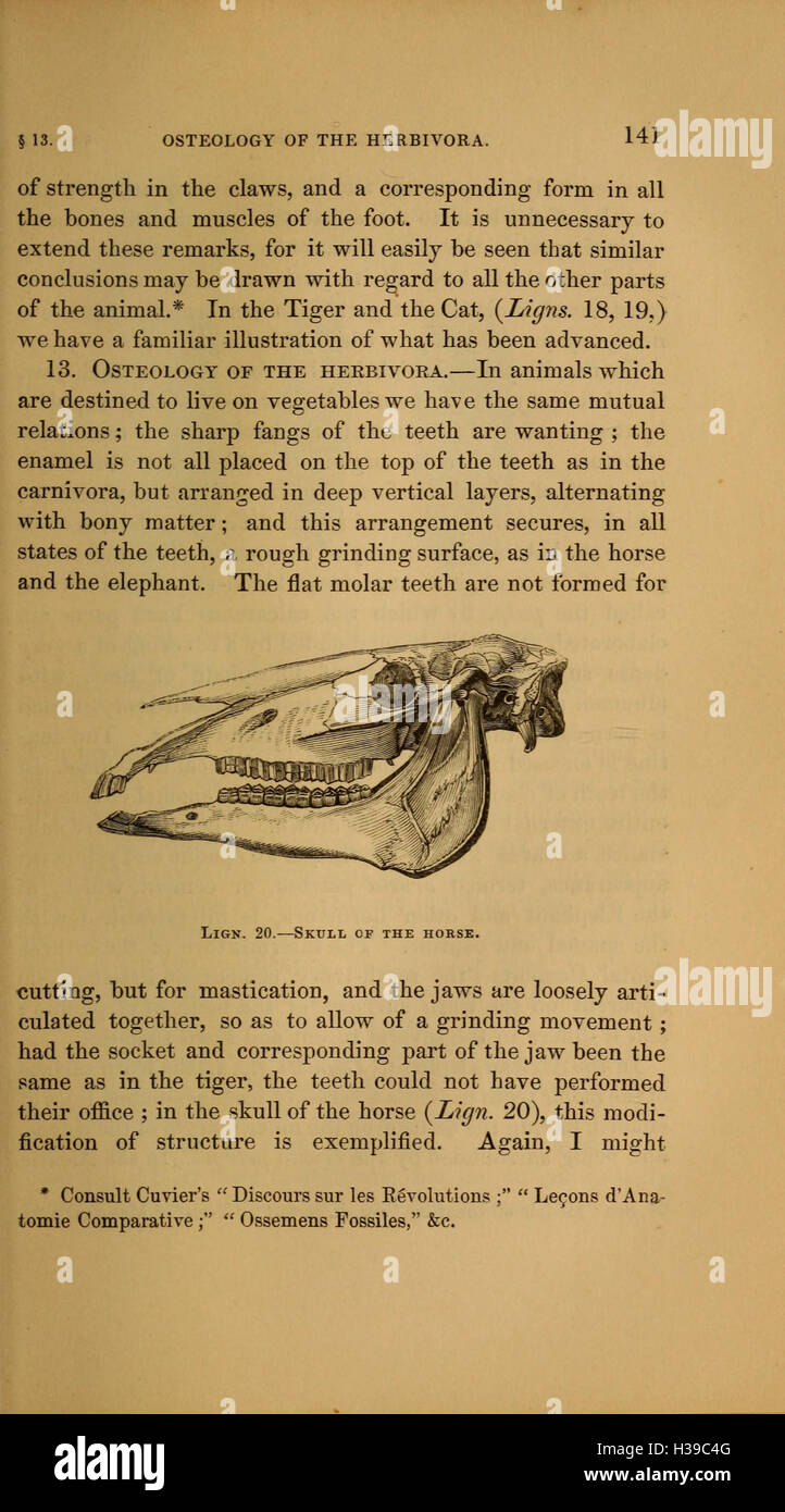 This work presents a clear and accessible explanation of geological ...