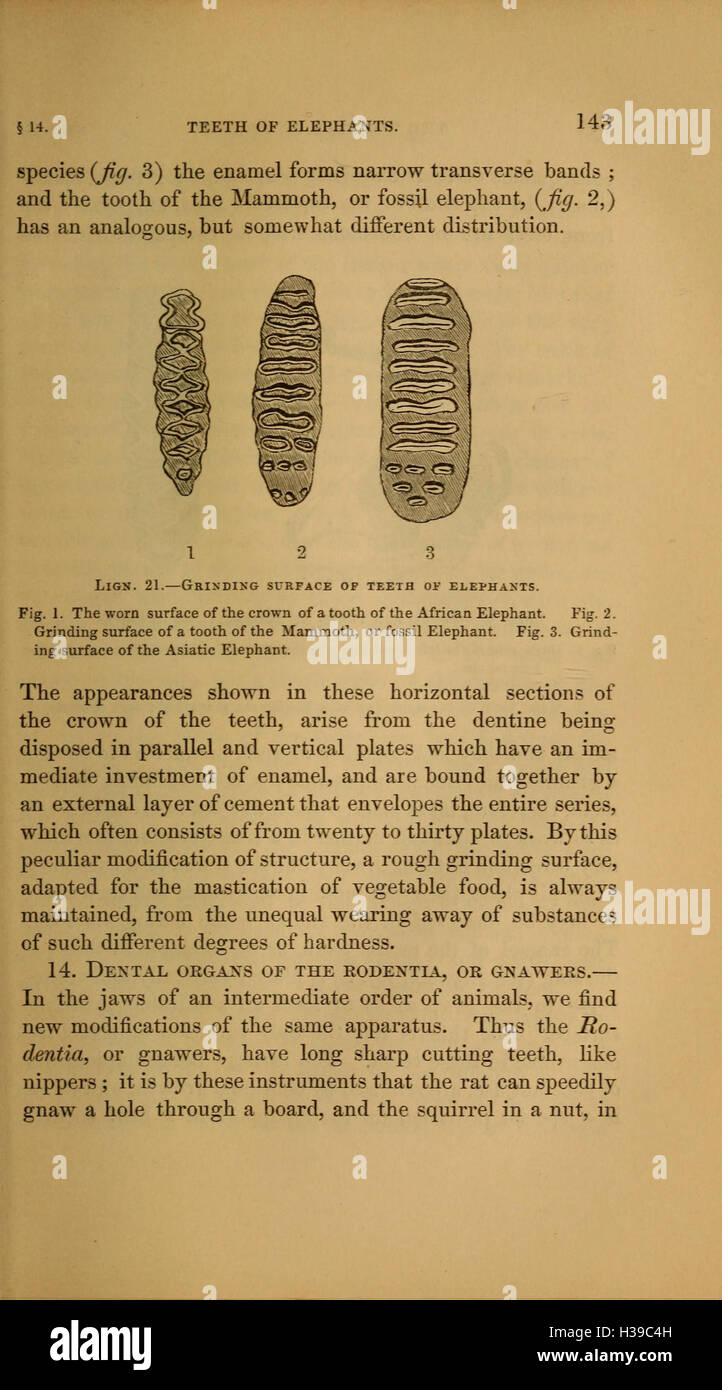 This text explores various geological phenomena, providing an ...