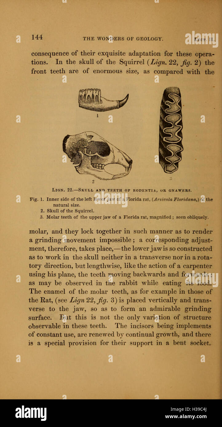 An introduction to geological phenomena, explaining key geological ...