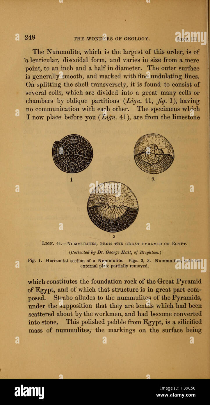 This work introduces key geological phenomena and processes, offering ...