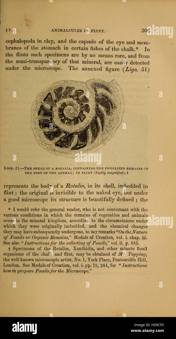 A comprehensive guide to geological phenomena, explaining geological ...