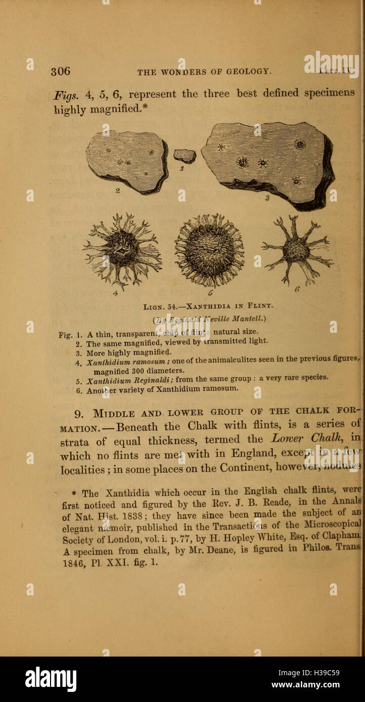 This work offers an accessible exploration of geological phenomena ...