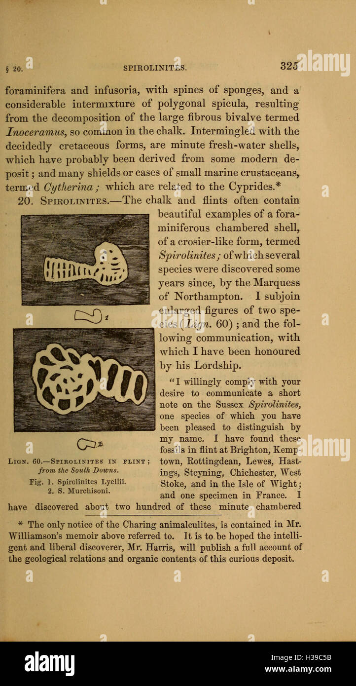 This book explains geological phenomena in simple terms, covering ...