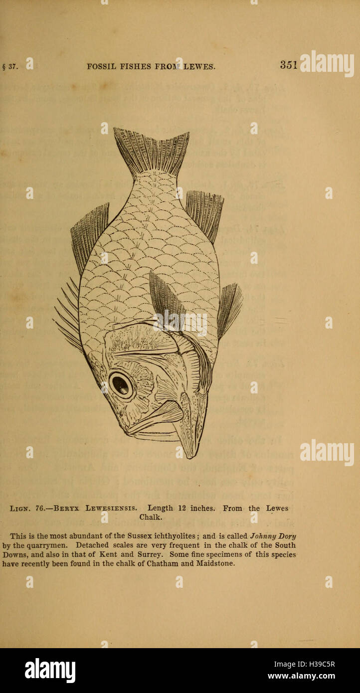 This work offers a clear explanation of geological phenomena, covering ...