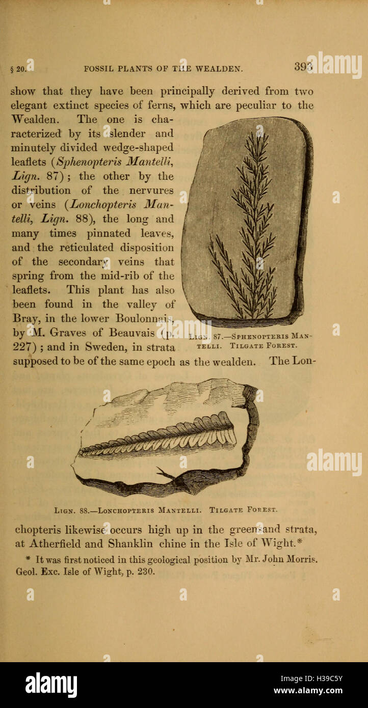 This text offers an accessible explanation of geological phenomena ...