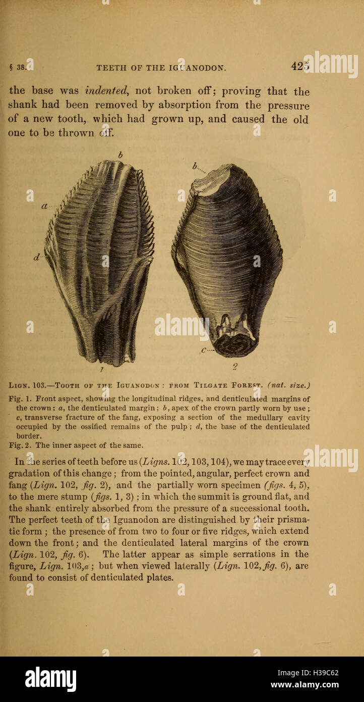 This book presents an accessible overview of geological phenomena ...