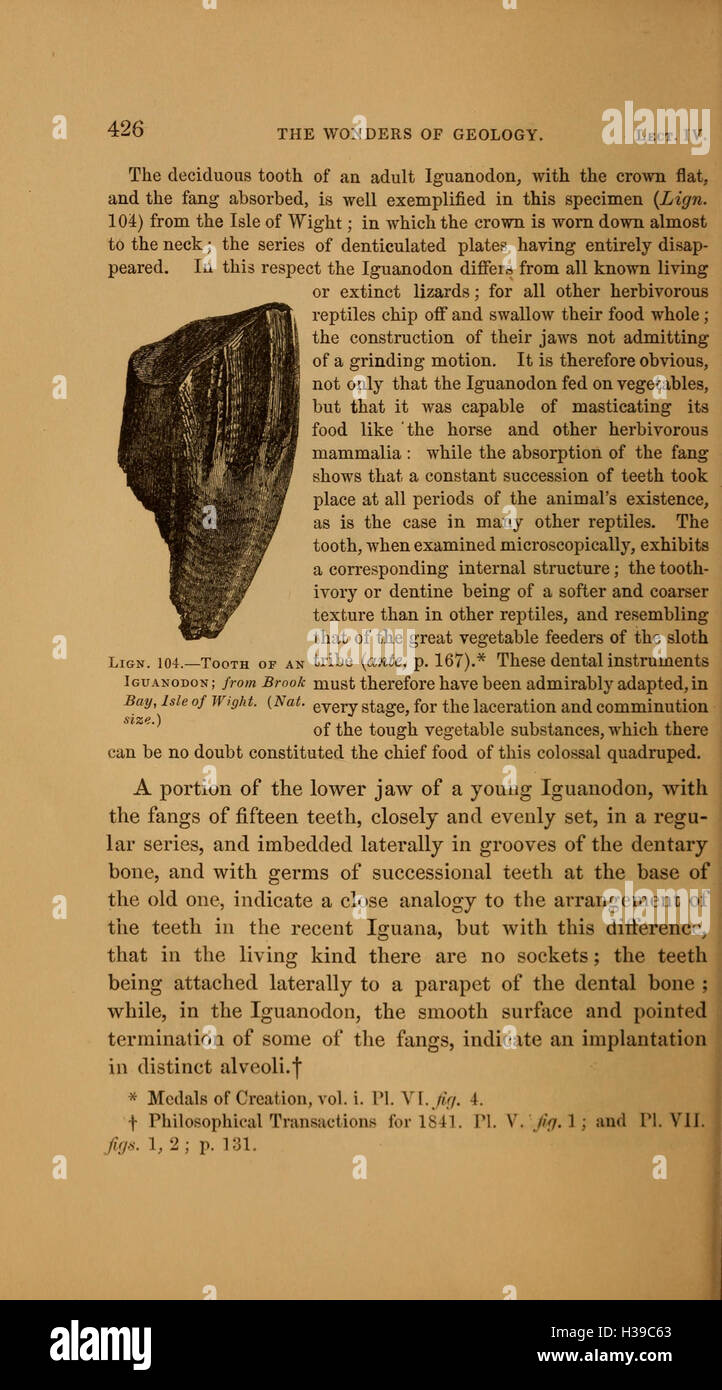 This work provides a clear overview of geological phenomena, explaining ...